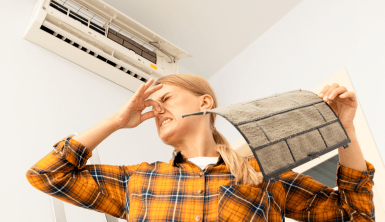 Mold In Air Conditioners: Causes, Risks, And Prevention | Infiway